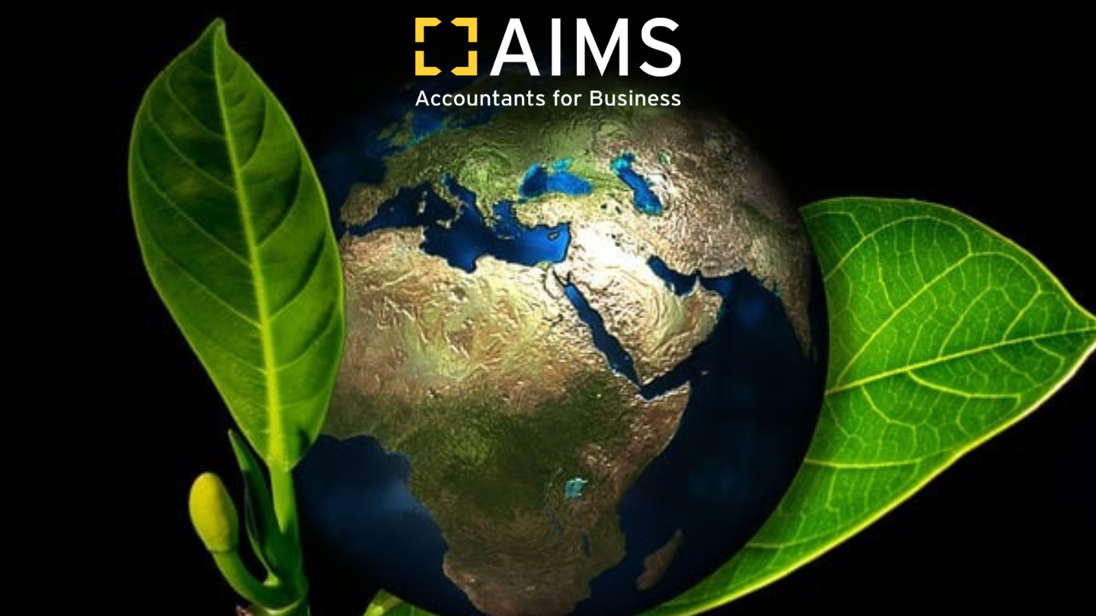 Why should SMEs be interested in ESG practices?